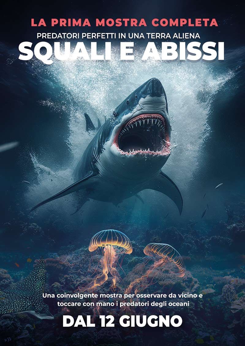 Squali e abissi, la prima mostra completa a Milano-10 anni in su