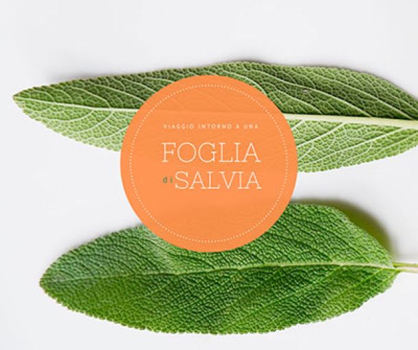 Scuola dell'infanzia bilingue Fondazione Grossman